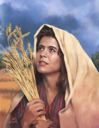 Ruth-wheat | Istraživači Biblije u Hrvatskoj